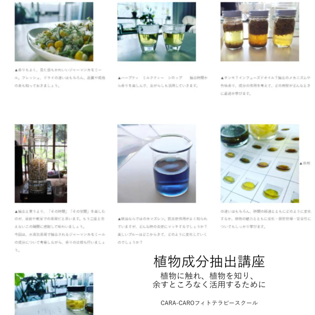 認定教室で開催のコース一覧 | CARACARO認定教室